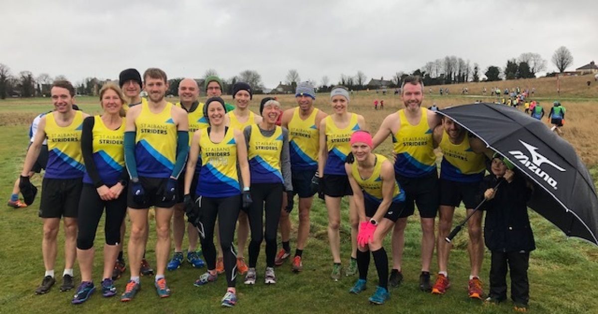 Striders face Double XC Season Finale | St Albans Striders (en-GB)