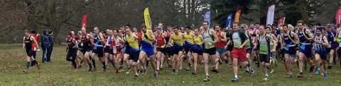 St Albans Striders | St Albans Striders (en-GB)