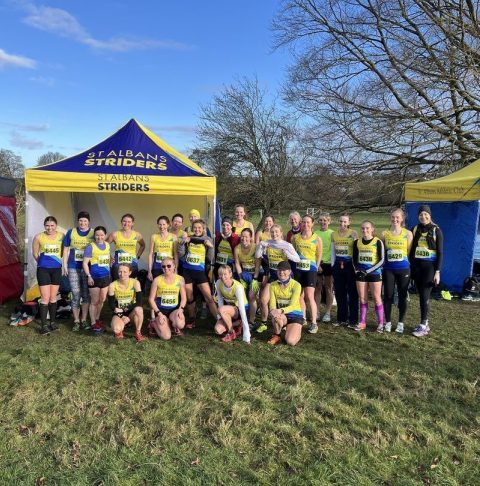 St Albans Striders | St Albans Striders (en-GB)
